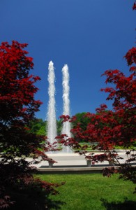 Yes, I will Donate | The Garden of Reflection